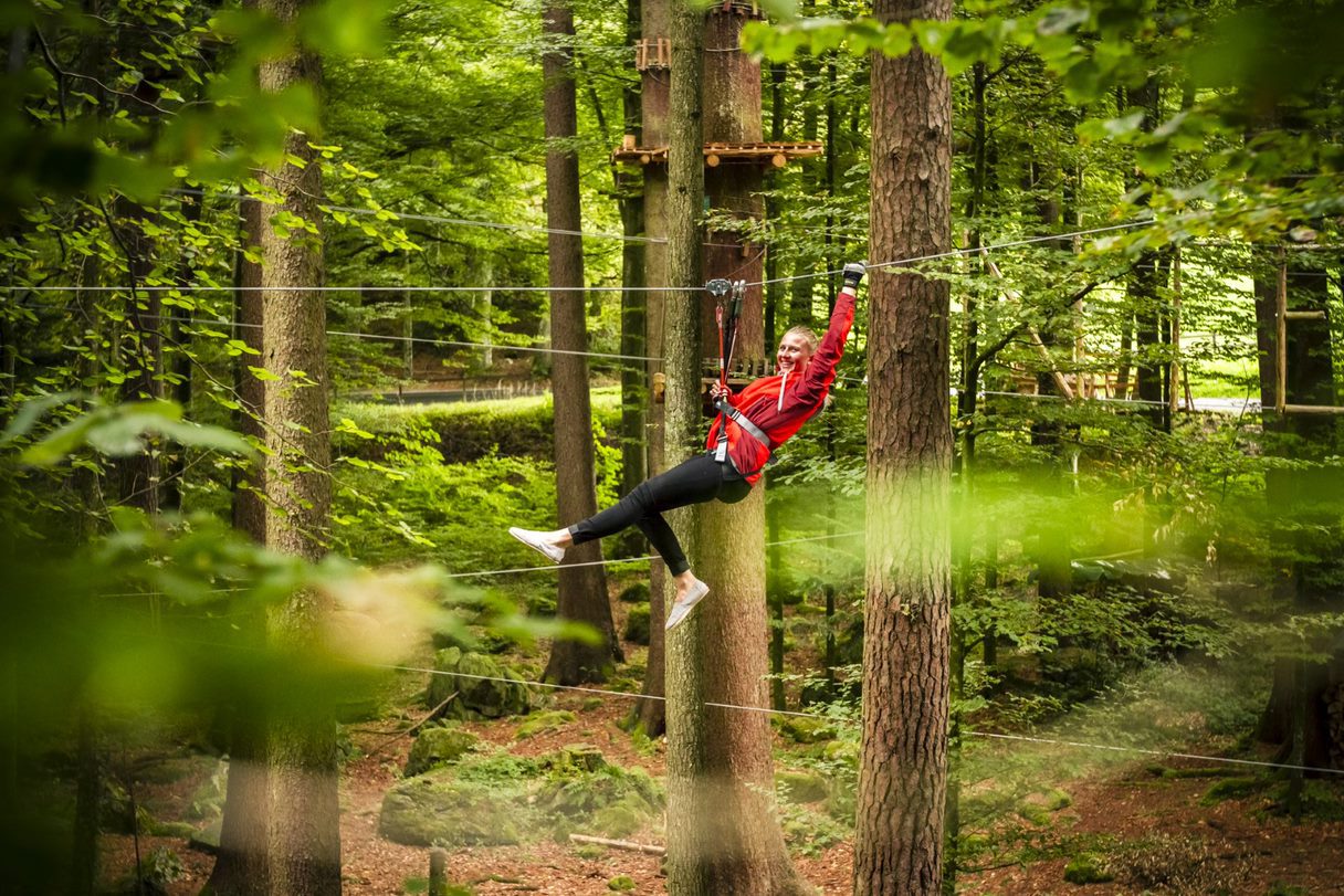 Rope Park Interlaken – pure thrills! | Eastern Switzerland – variety ...